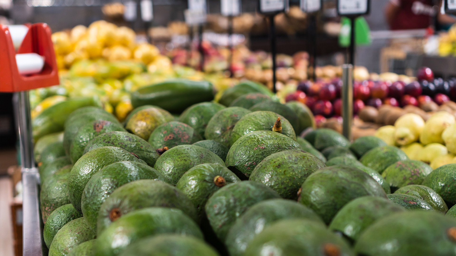 Retail | Villita Avocados