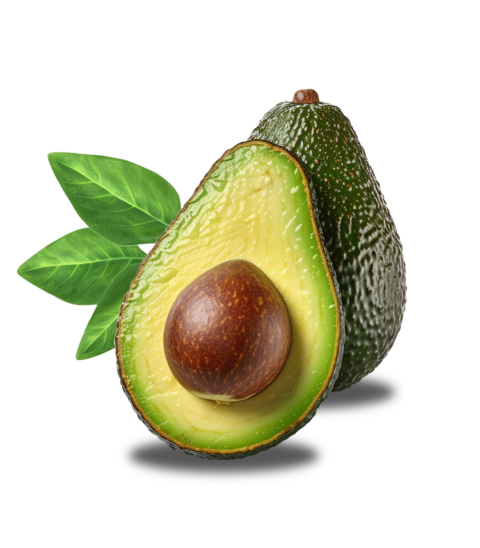 Retail | Villita Avocados