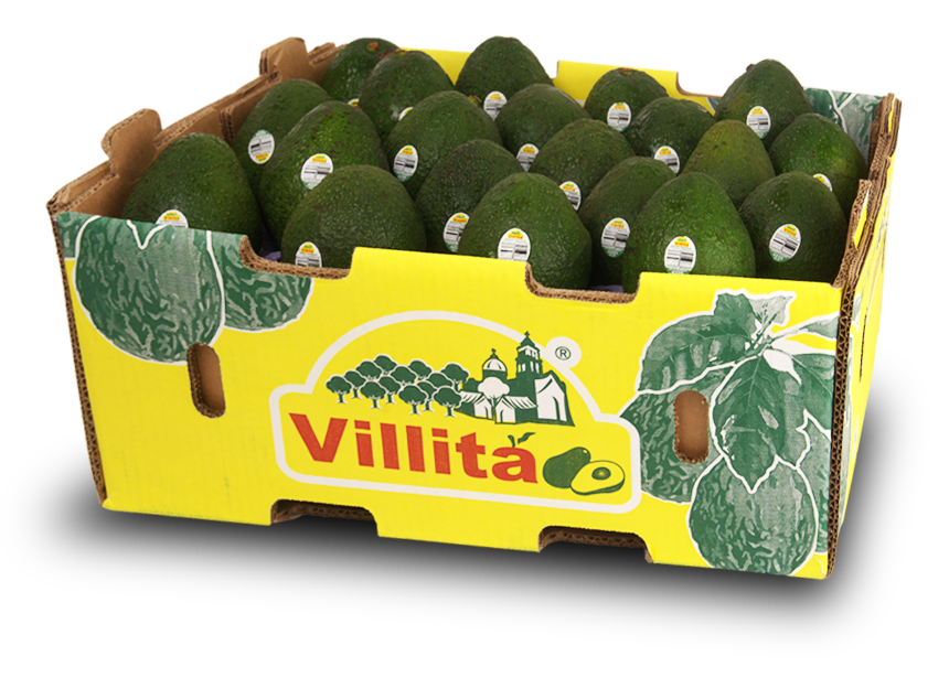 Villita Avocados | Leaders in the avocado industry